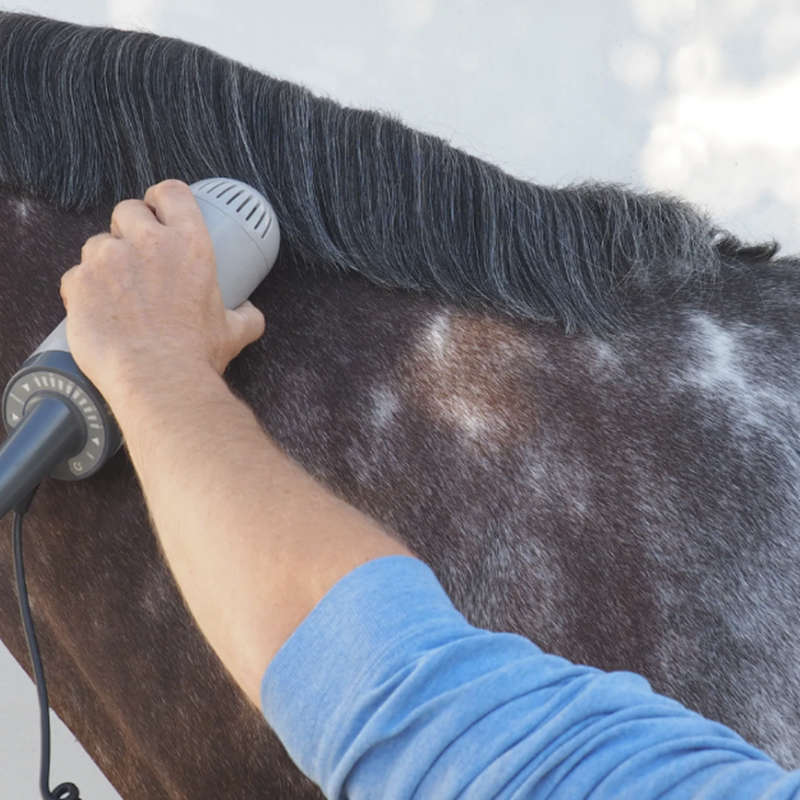 Equissage Pulse Hand Unit - Iberian Horse Shop