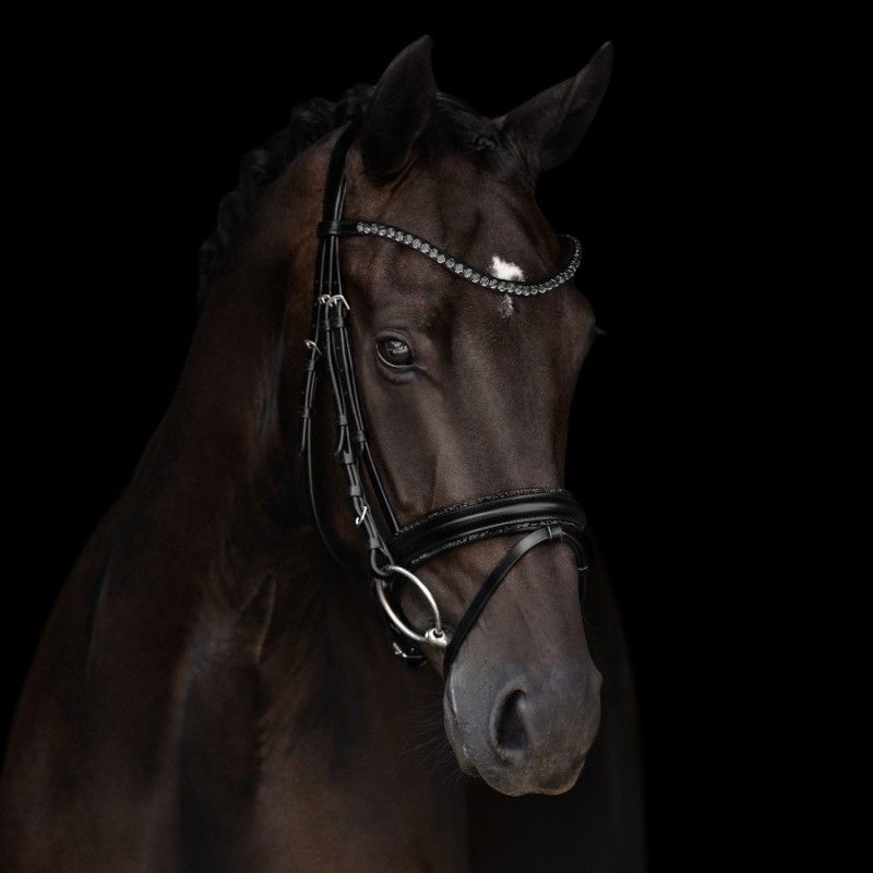 Cabezada para filete Kieffer Grace - Iberian Horse Shop